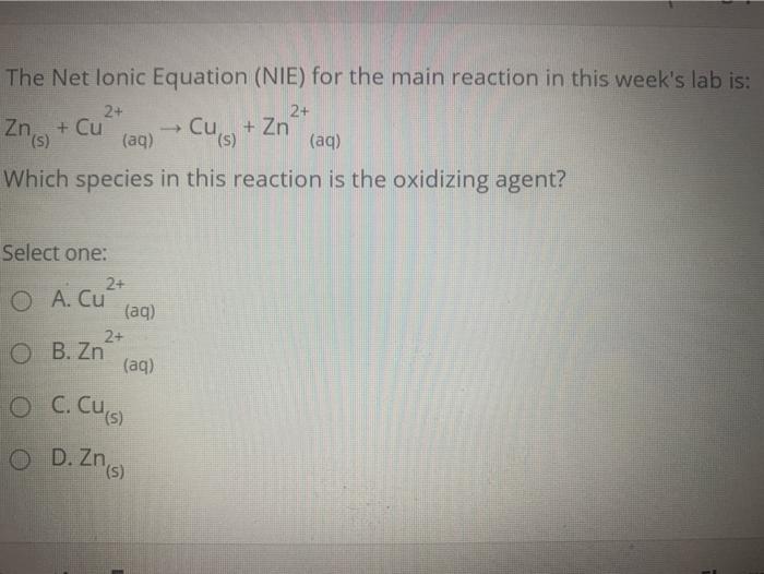 Solved The Net lonic Equation (NIE) for the main reaction in | Chegg.com