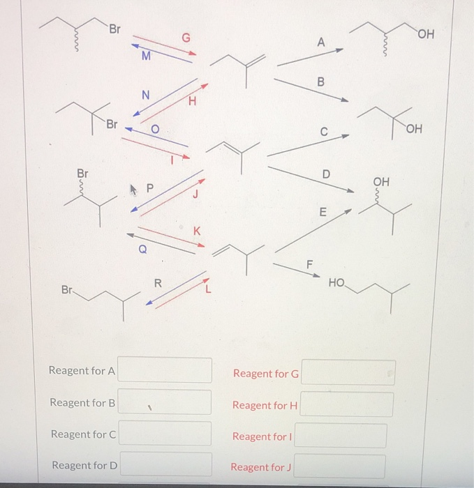 Solved Reagent for A Reagent for G Reagent for B Reagent for | Chegg.com
