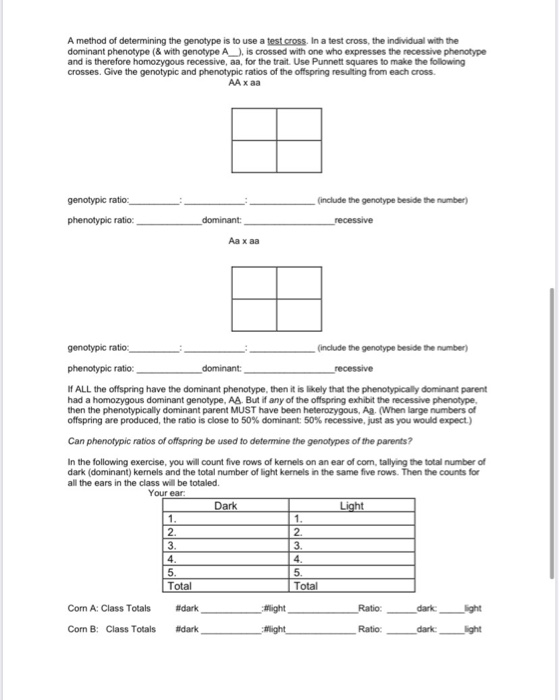 Solved GENETICS Objectives: This lab exercise focuses on | Chegg.com