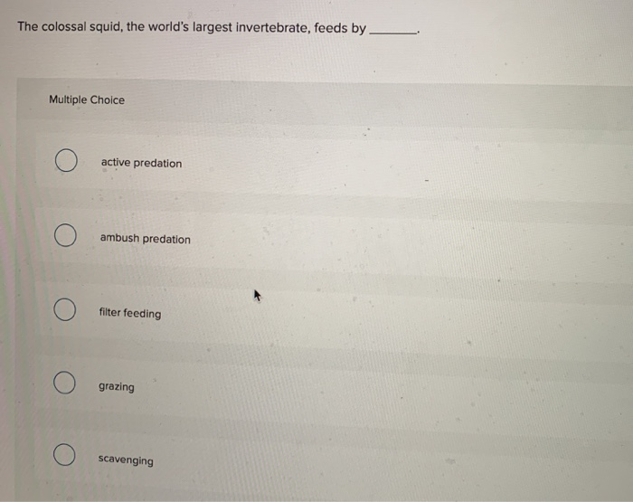 Solved The colossal squid, the world's largest invertebrate, | Chegg.com