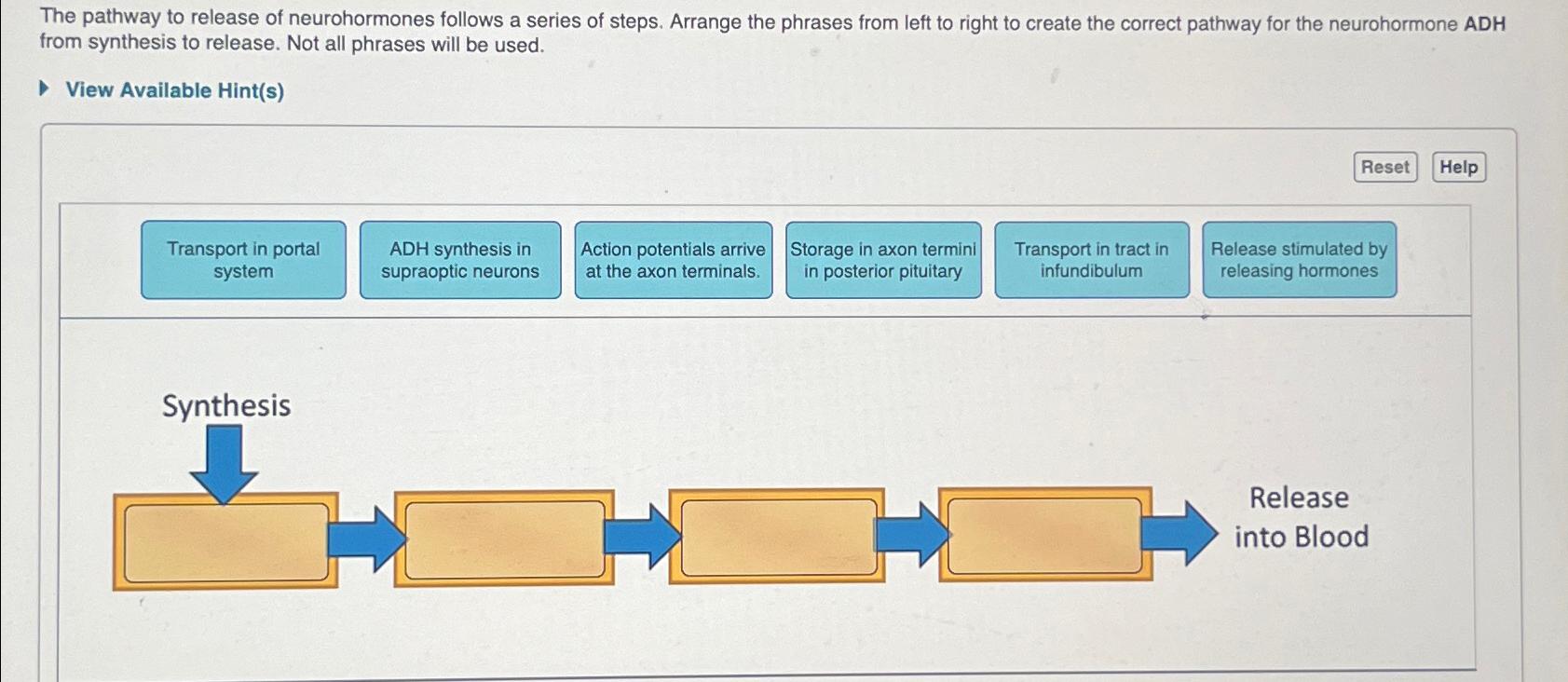 Solved The pathway to release of neurohormones follows a | Chegg.com