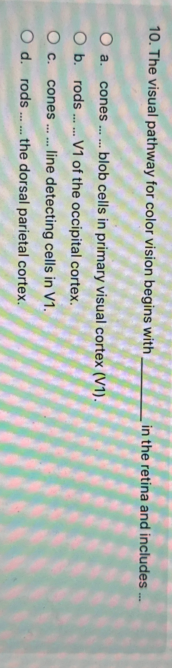 Solved The visual pathway for color vision begins with in | Chegg.com