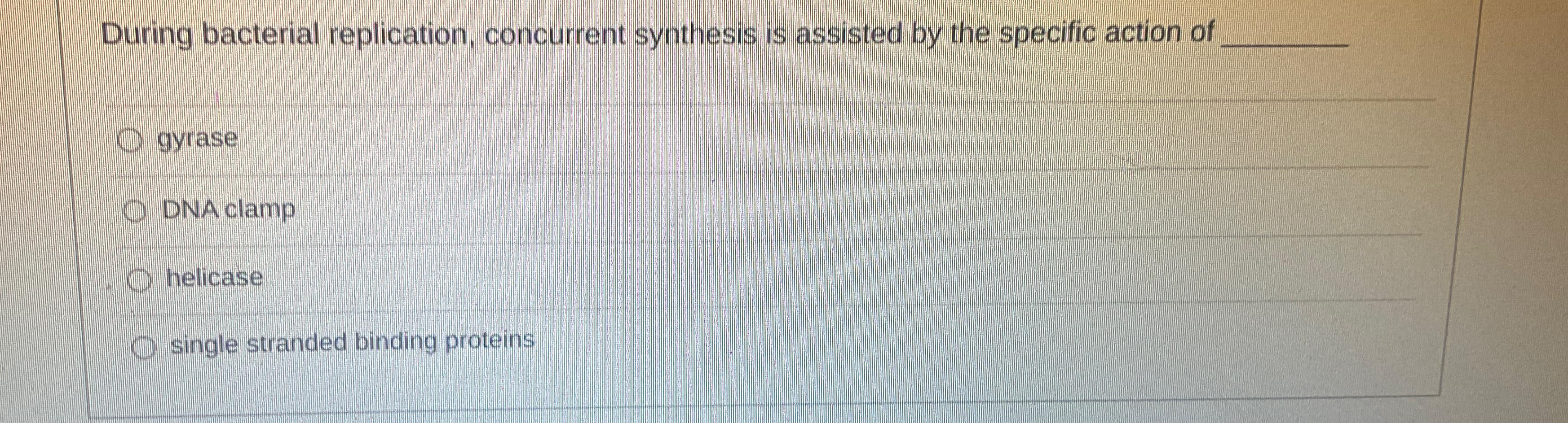 Solved During Bacterial Replication Concurrent Synthesis Is
