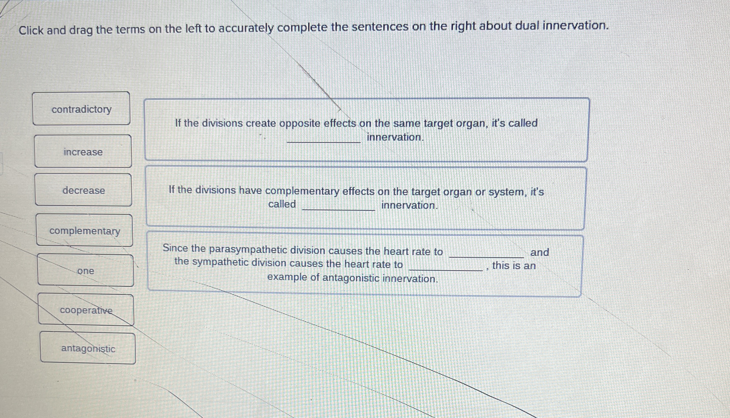 Solved Click and drag the terms on the left to accurately | Chegg.com