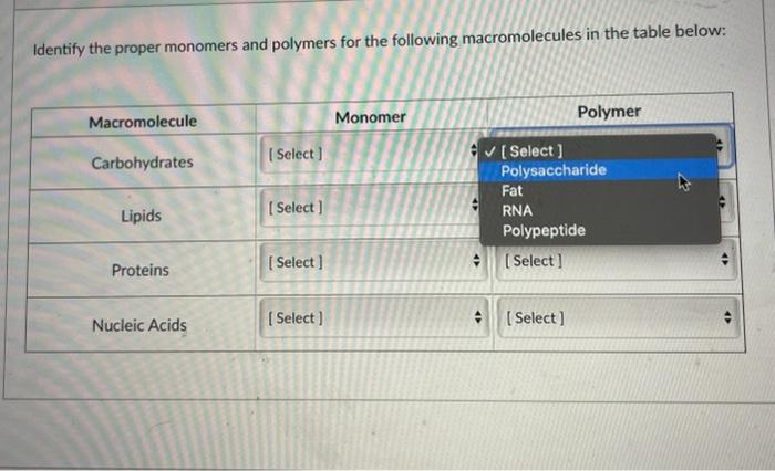 Solved Identify the proper monomers and polymers for the | Chegg.com