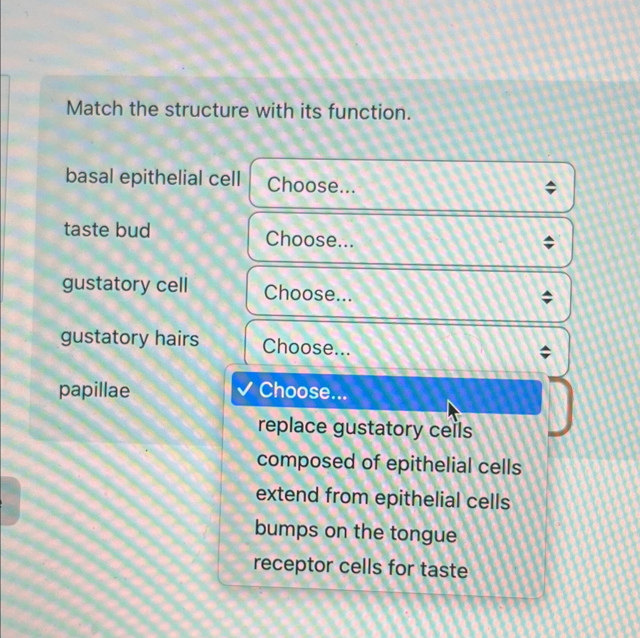 Solved Match the structure with its function.basal | Chegg.com