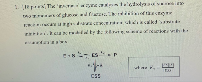 1. [18 points) The 'invertase' enzyme catalyzes the | Chegg.com