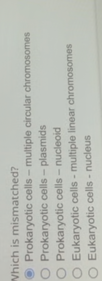 Solved Which is mismatched?Prokaryotic cells - ﻿multiple | Chegg.com
