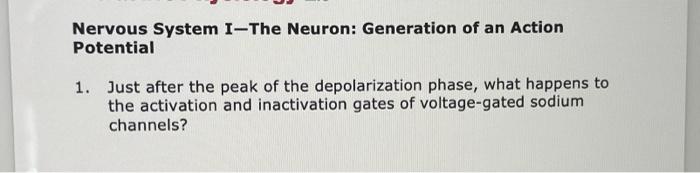 Solved Nervous System I-The Neuron: Generation of an Action | Chegg.com
