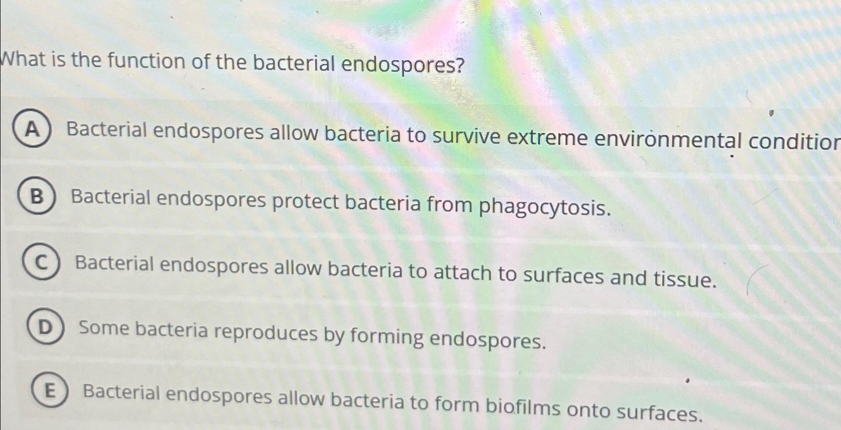 Solved What is the function of the bacterial | Chegg.com