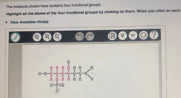Solved The molecule shown here contains four functional | Chegg.com