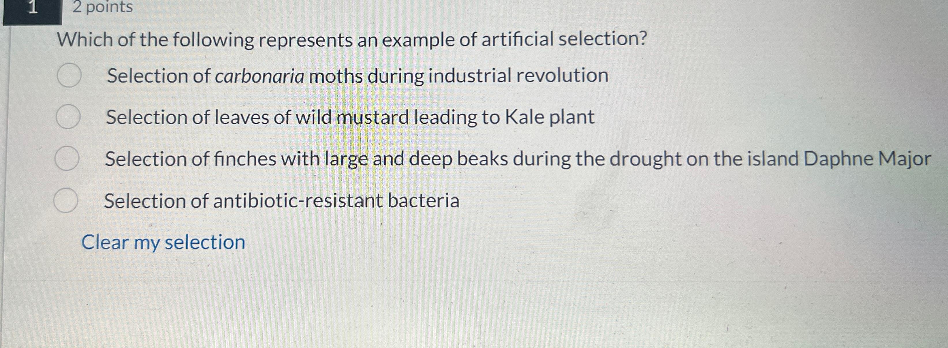 Solved 2 ﻿pointsWhich of the following represents an example | Chegg.com