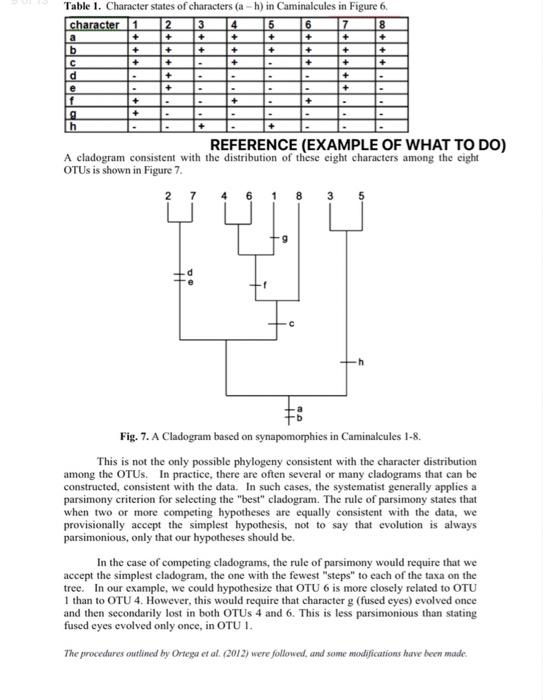 Solved Using the Caminalcules Set 2 shown in Figure 9, use | Chegg.com