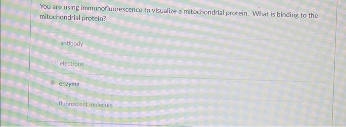 Solved The limit of resolution of a light microscope is 200 | Chegg.com