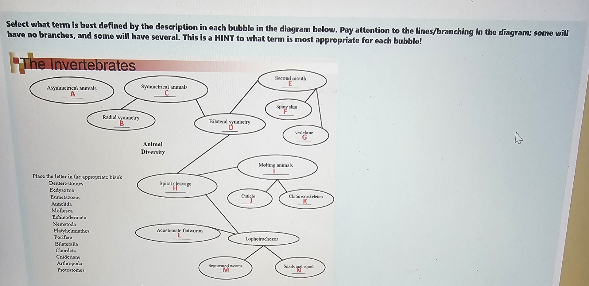 Solved Select what term is best defined by the description | Chegg.com