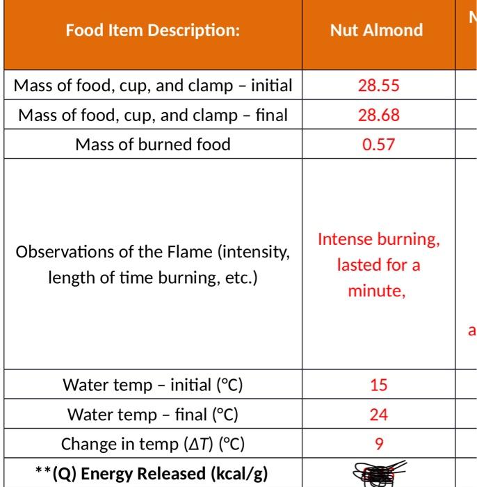 Food Item Description: Mass of food, cup, and clamp - | Chegg.com