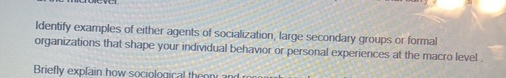 Identify examples of either agents of socialization, | Chegg.com