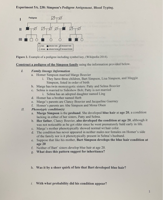 Solved Experiment 5A. 238: Simpson's Pedigree Assignment, | Chegg.com