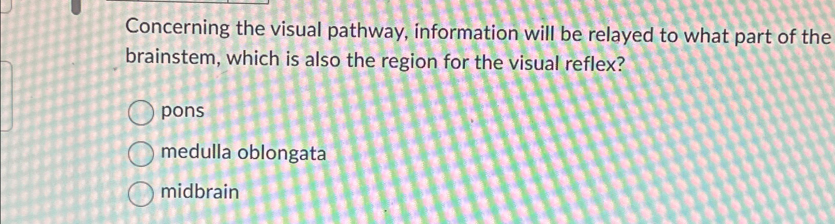 Solved Concerning the visual pathway, information will be | Chegg.com