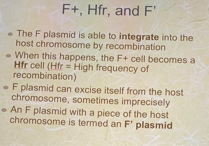 [Solved]: An Hifr strain that is hisE+ and pheA+ was mixed