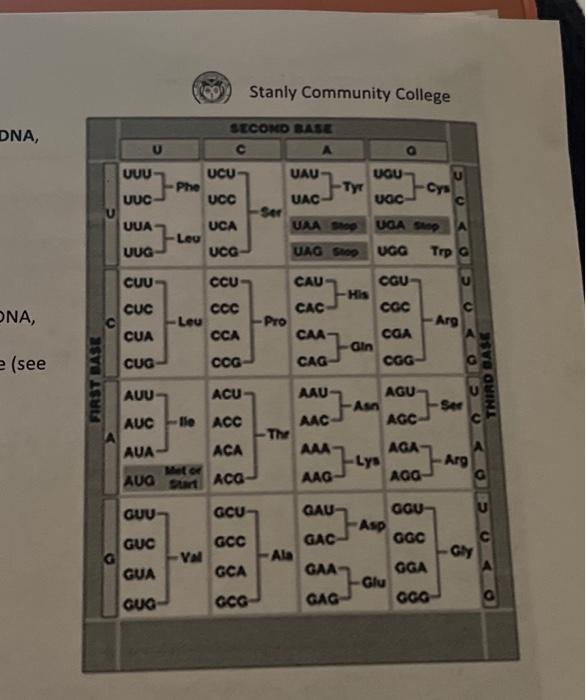Solved 6. Provided the following nucleotide sequence for a | Chegg.com
