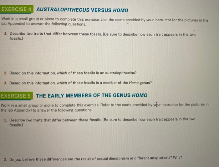 Solved EXERCISE 4 AUSTRALOPITHECUS VERSUS HOMO Work in a | Chegg.com