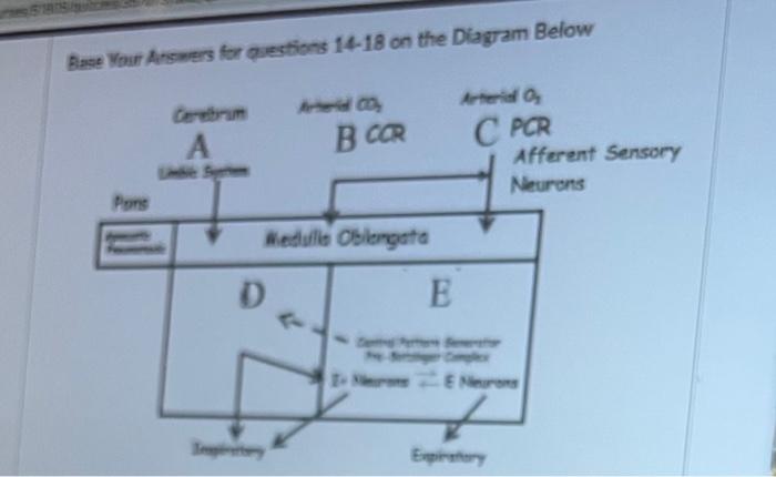 Base Your Answers for questions 14-18 on the Diagram | Chegg.com