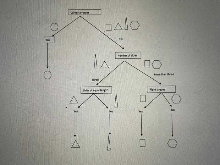 Construct a dichotomous key using the example below. | Chegg.com