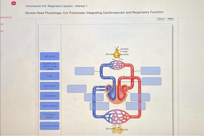 Solved Nurses Need Physiology: Cor Puimonale: Integrating | Chegg.com