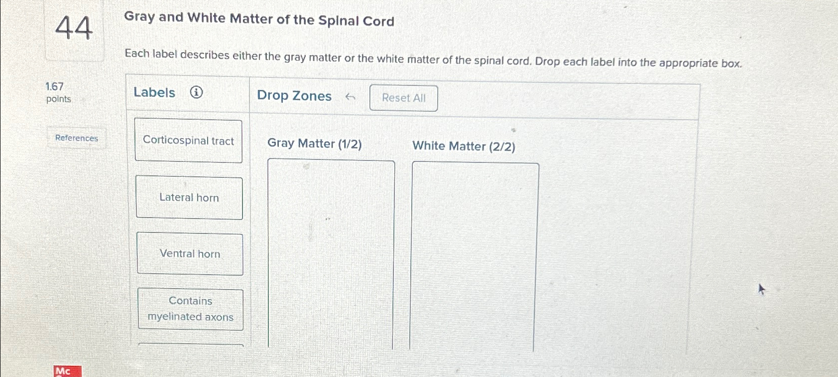 Solved 44Gray and White Matter of the Spinal CordEach label | Chegg.com