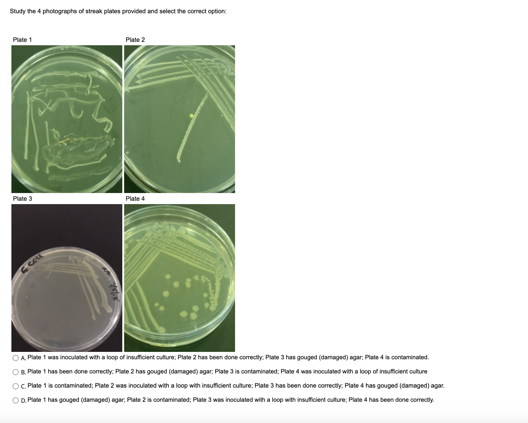 Solved Study the 4 ﻿photographs of streak plates provided | Chegg.com