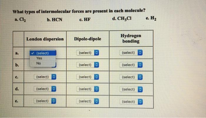 Solved What types of intermolecular forces are present in | Chegg.com