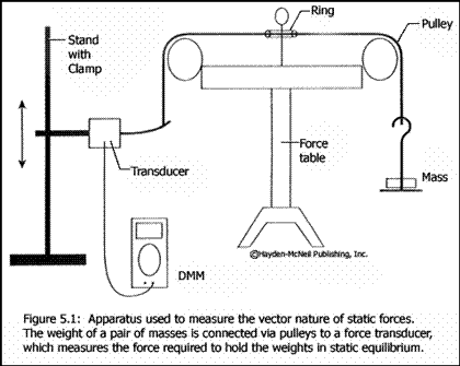 Solved Balance of vertical forces problem. Study the setup | Chegg.com
