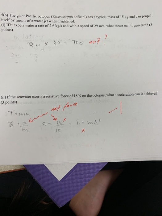 Solved 5(b) The giant Pacific Octopus (Enteroctopus | Chegg.com