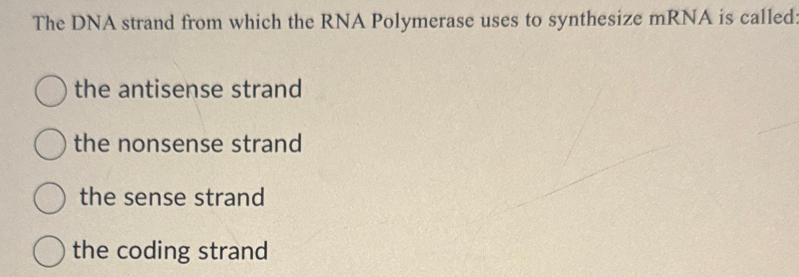 Solved The DNA strand from which the RNA Polymerase uses to | Chegg.com