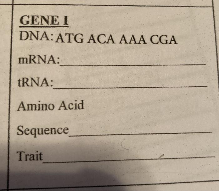 Solved GENE I DNA: ATG ACA AAA CGA mRNA: TRNA: Amino Acid | Chegg.com
