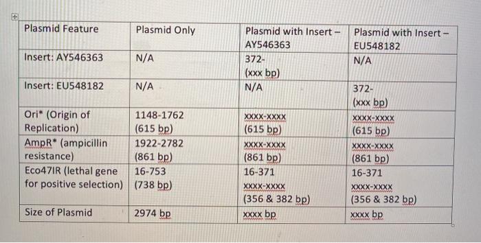 Solved draw the plasmid map of the original pJET1.2 plasmid. | Chegg.com