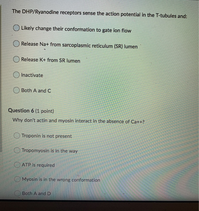 Solved The DHP/Ryanodine receptors sense the action | Chegg.com