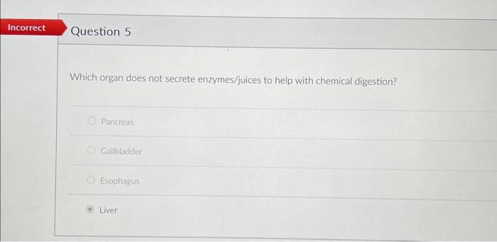 Solved Which organ does not secrete enzymes/juices to help | Chegg.com
