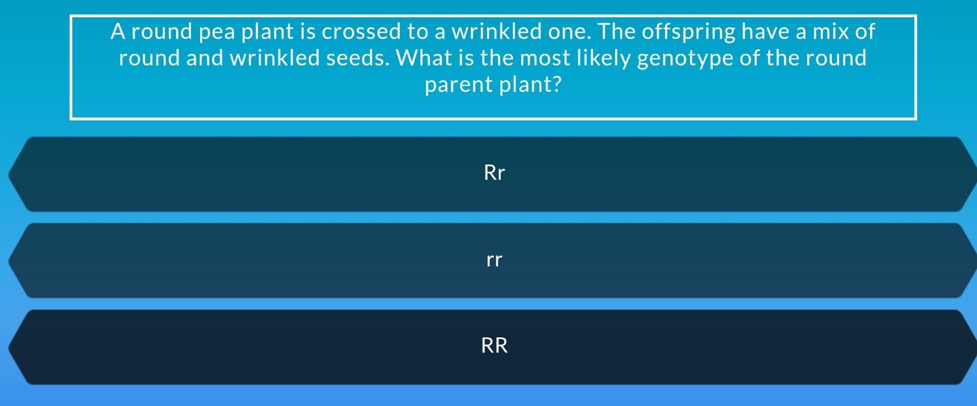 Solved A round pea plant is crossed to a wrinkled one. The | Chegg.com