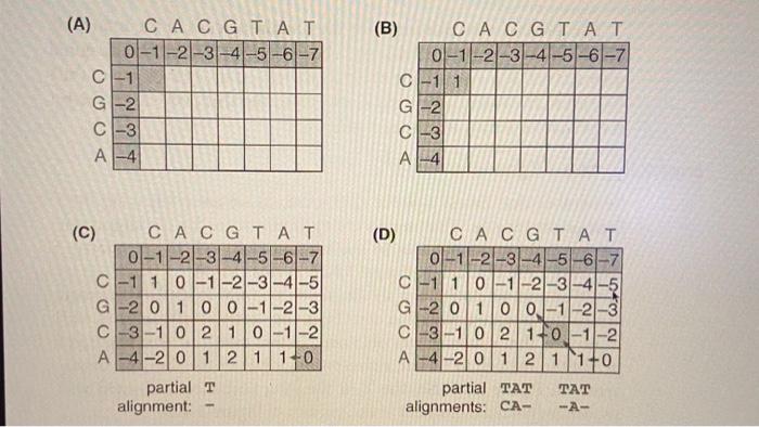 Solved 7. Generate a MATRIX based on the Needleman-Wunsch | Chegg.com