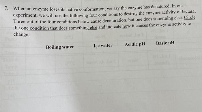Solved When an enzyme loses its native conformation, we say | Chegg.com