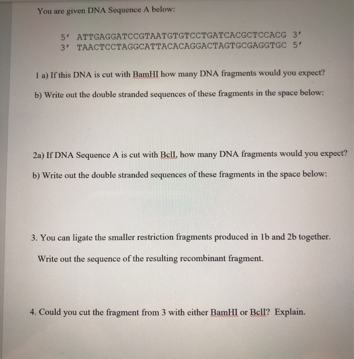 Solved You are given DNA Sequence A below: 5' | Chegg.com