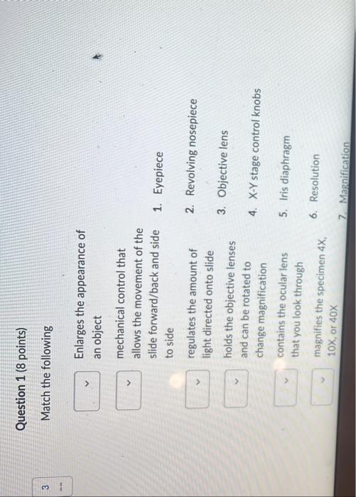Solved Question 1 ( 8 points) Match the following Enlarges | Chegg.com