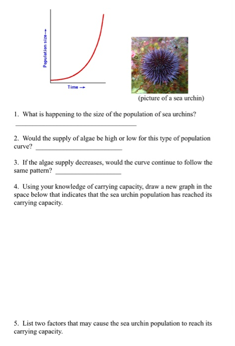 Solved Population size Time (picture of a sea urchin) 1. | Chegg.com