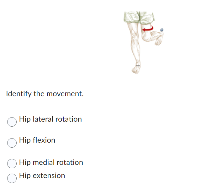 Solved Identify the movement.Hip lateral rotationHip | Chegg.com