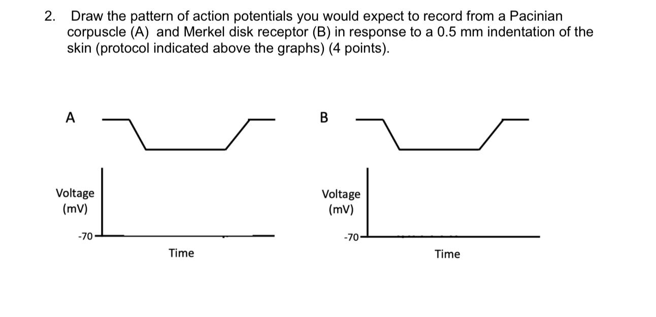 Solved Draw the pattern of action potentials you would | Chegg.com