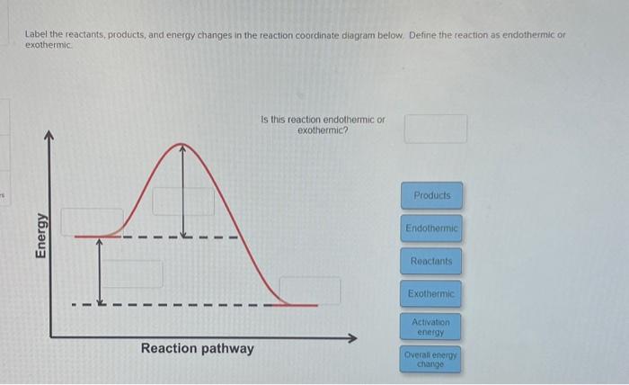 Solved label the reactant products and energy changes in the | Chegg.com