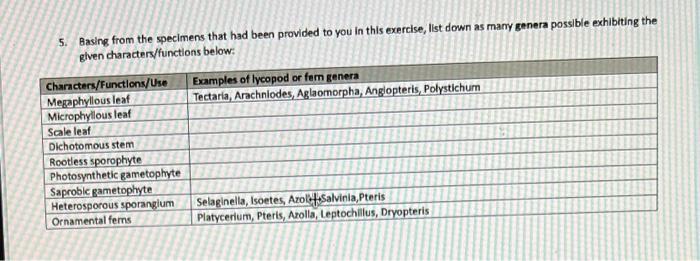 Solved 5. Basing from the specimens that had been provided | Chegg.com
