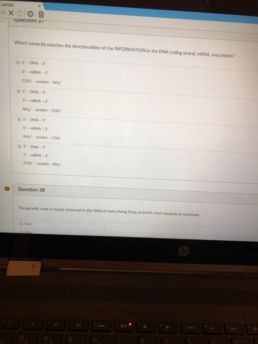 Solved Canvas - XC Questions Which correctly matches the | Chegg.com